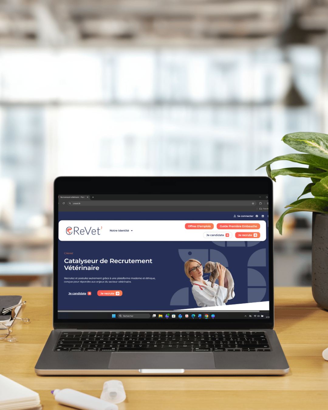Recrutement vétérinaire - Plateforme emploi et stage | CReVet